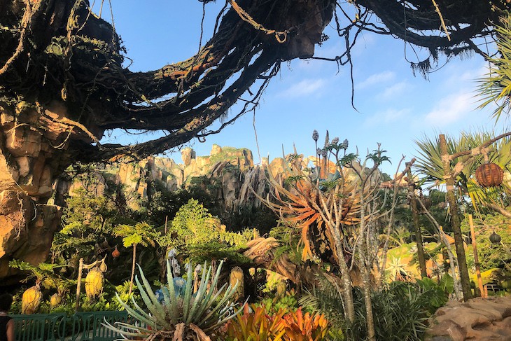 Pandora - The World of AVATAR | Disney Travel Agents | Cara Goldsbury ...